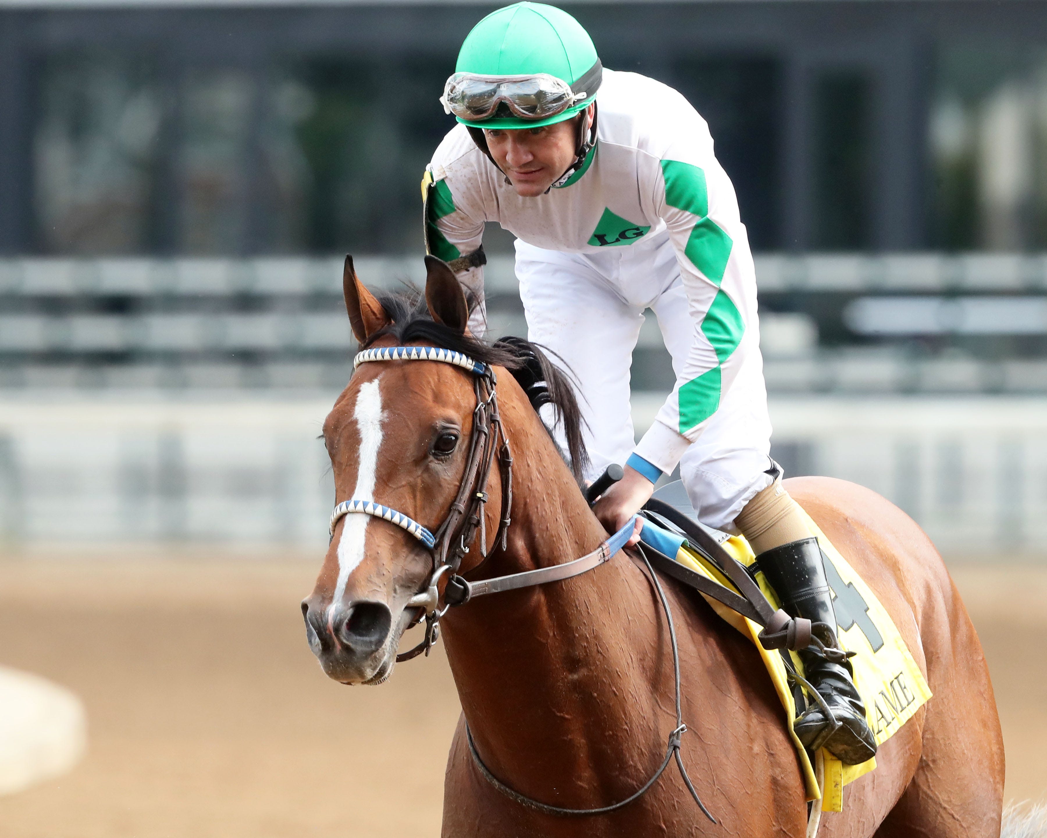 Mystik Dan looks like Derby winner in Blame Stakes